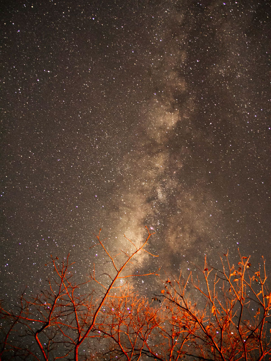 COSMIC DELIGHT | Edit | Photoshop Lightroom