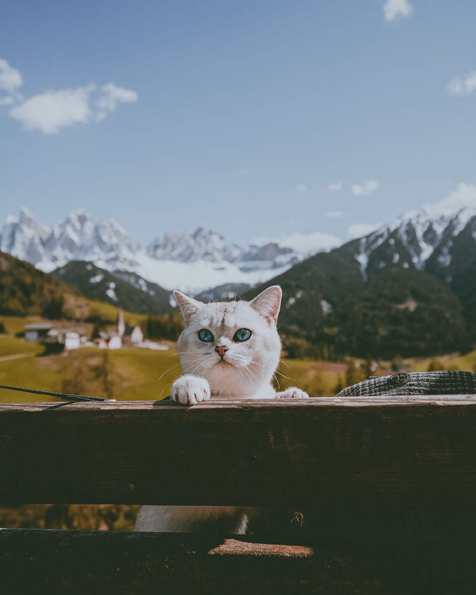 RETRO | Edit | Photoshop Lightroom