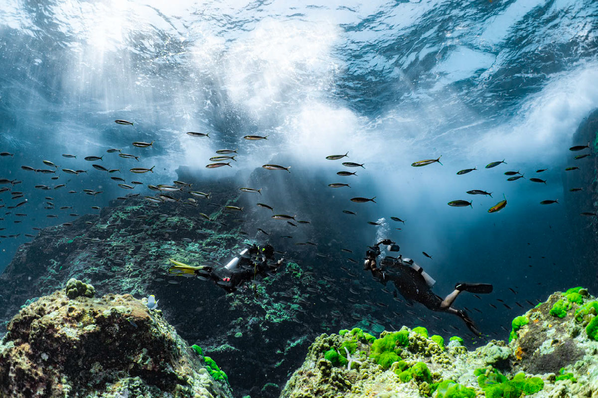 Fish tank Thailand | Edit | Photoshop Lightroom