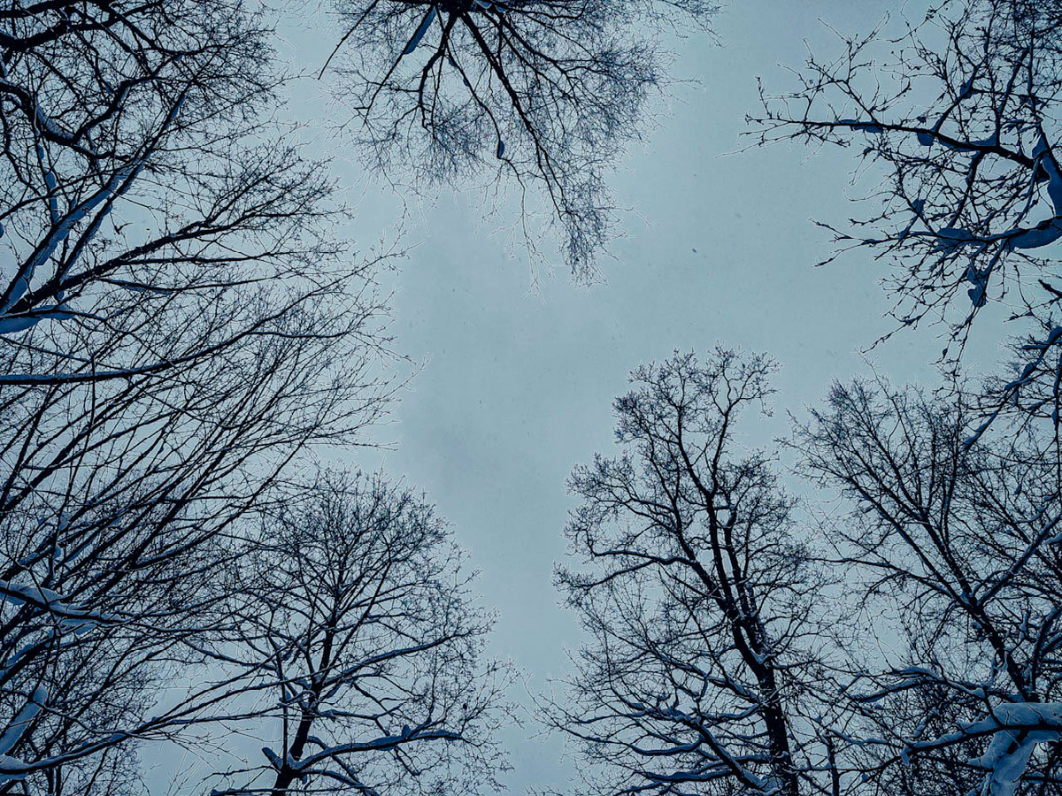 Winter_sky | Edit | Photoshop Lightroom