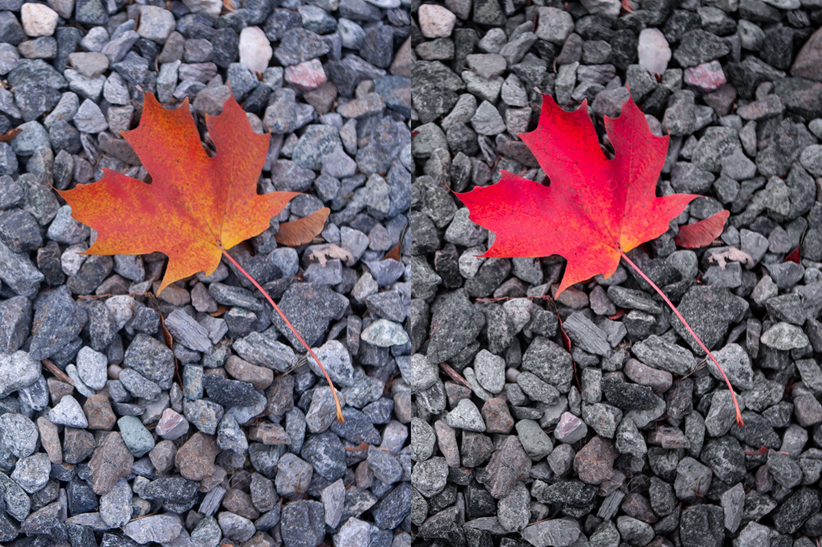 Creating Striking Detail Photos | Tutorial | Adobe Lightroom