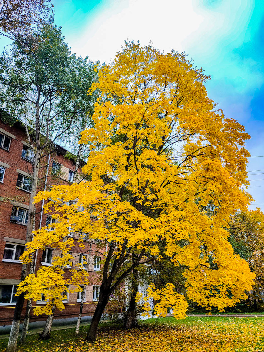 Spirit of spring | Edit | Photoshop Lightroom