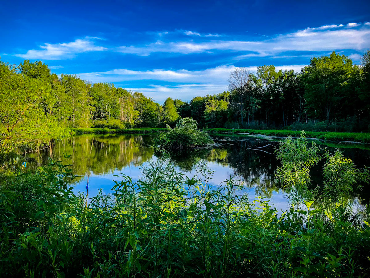 Reflection | Edit | Photoshop Lightroom