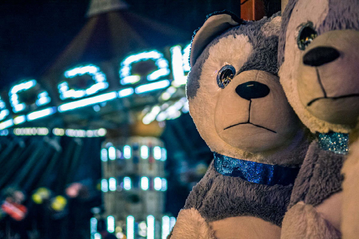 Sad bears | Edit | Photoshop Lightroom