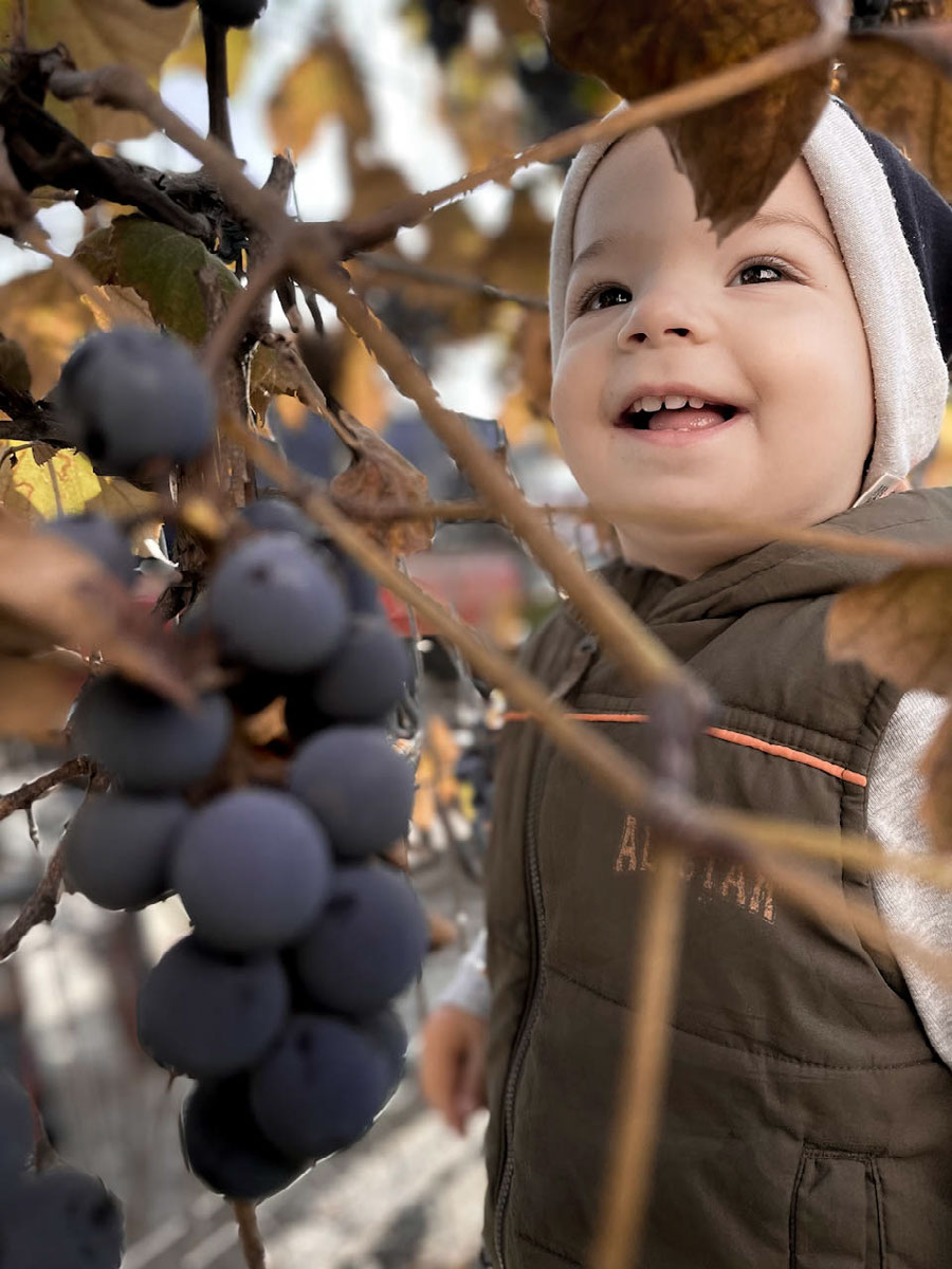 Autumn | Edit | Photoshop Lightroom