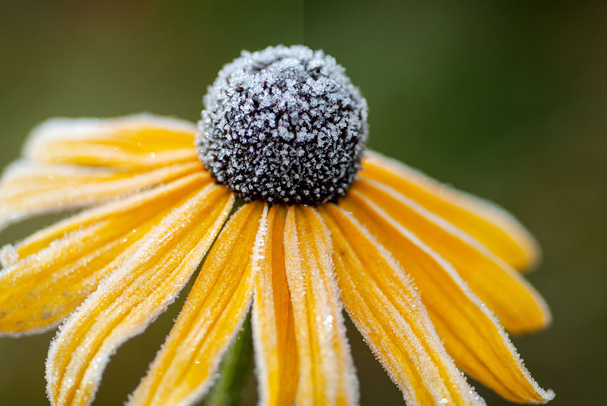 Clarity | Tutorial | Adobe Lightroom