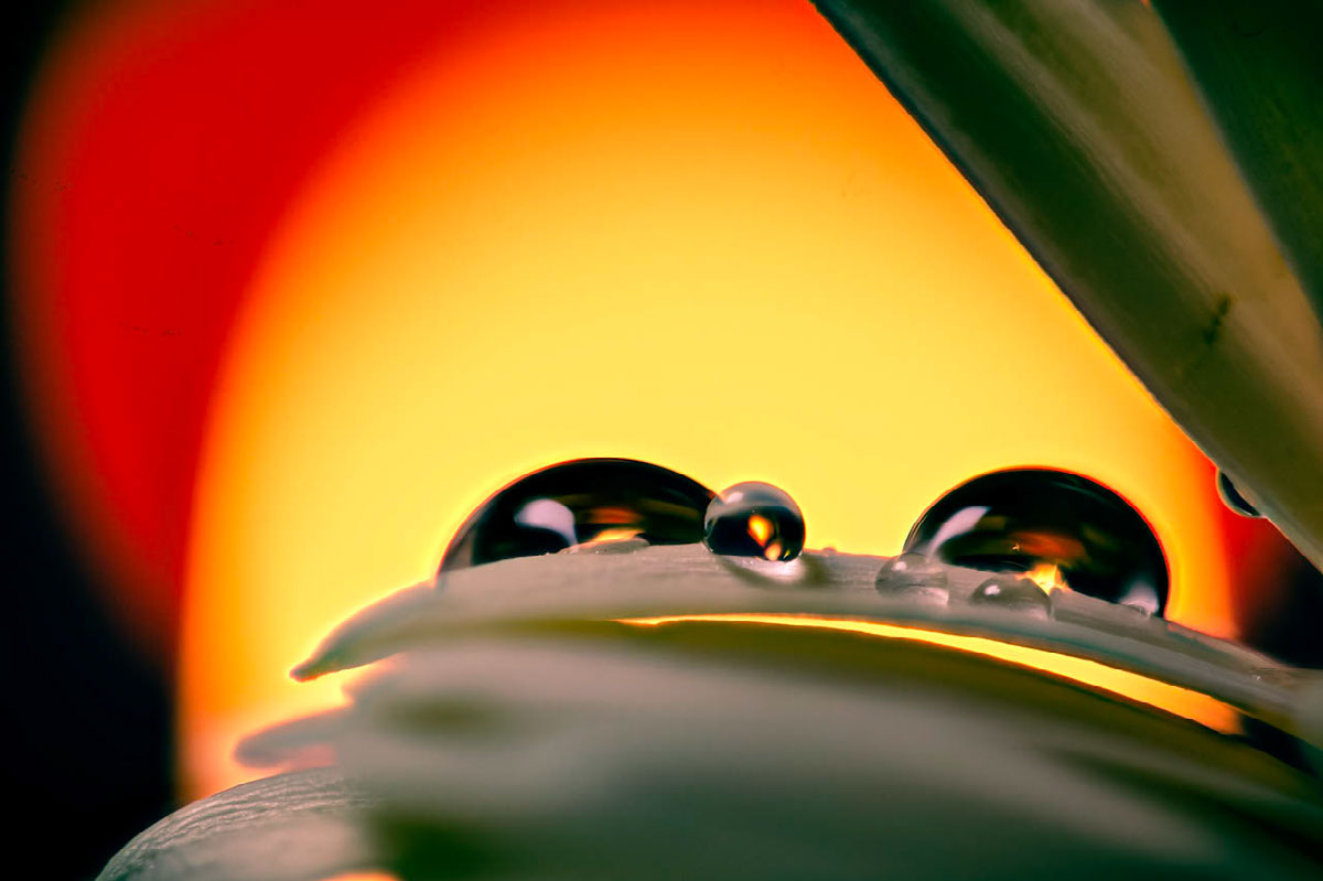 Rising sun | Edit | Photoshop Lightroom