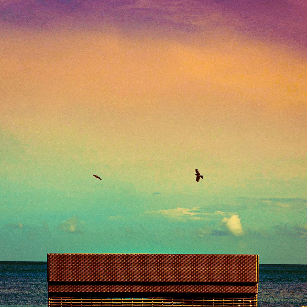 Cotton candy | Edit | Photoshop Lightroom