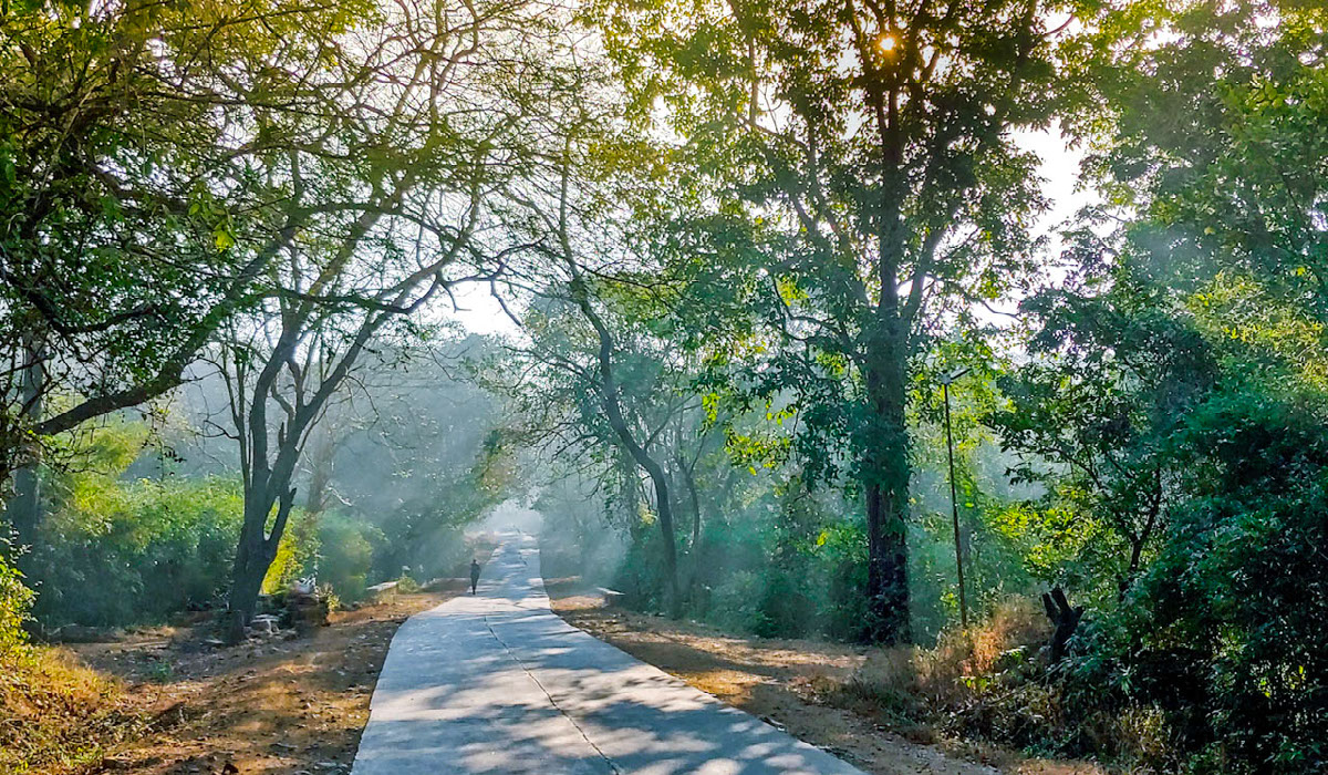 Heavenly Abode | Edit | Photoshop Lightroom