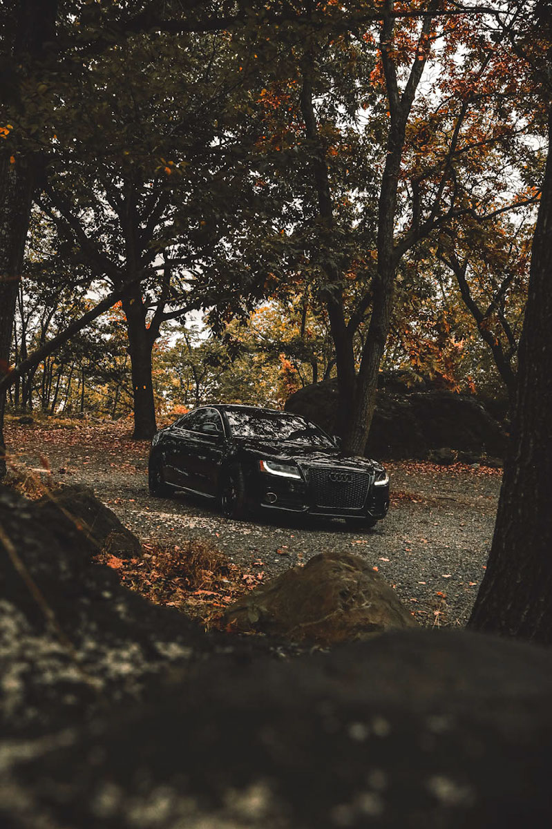 Fall | Edit | Photoshop Lightroom