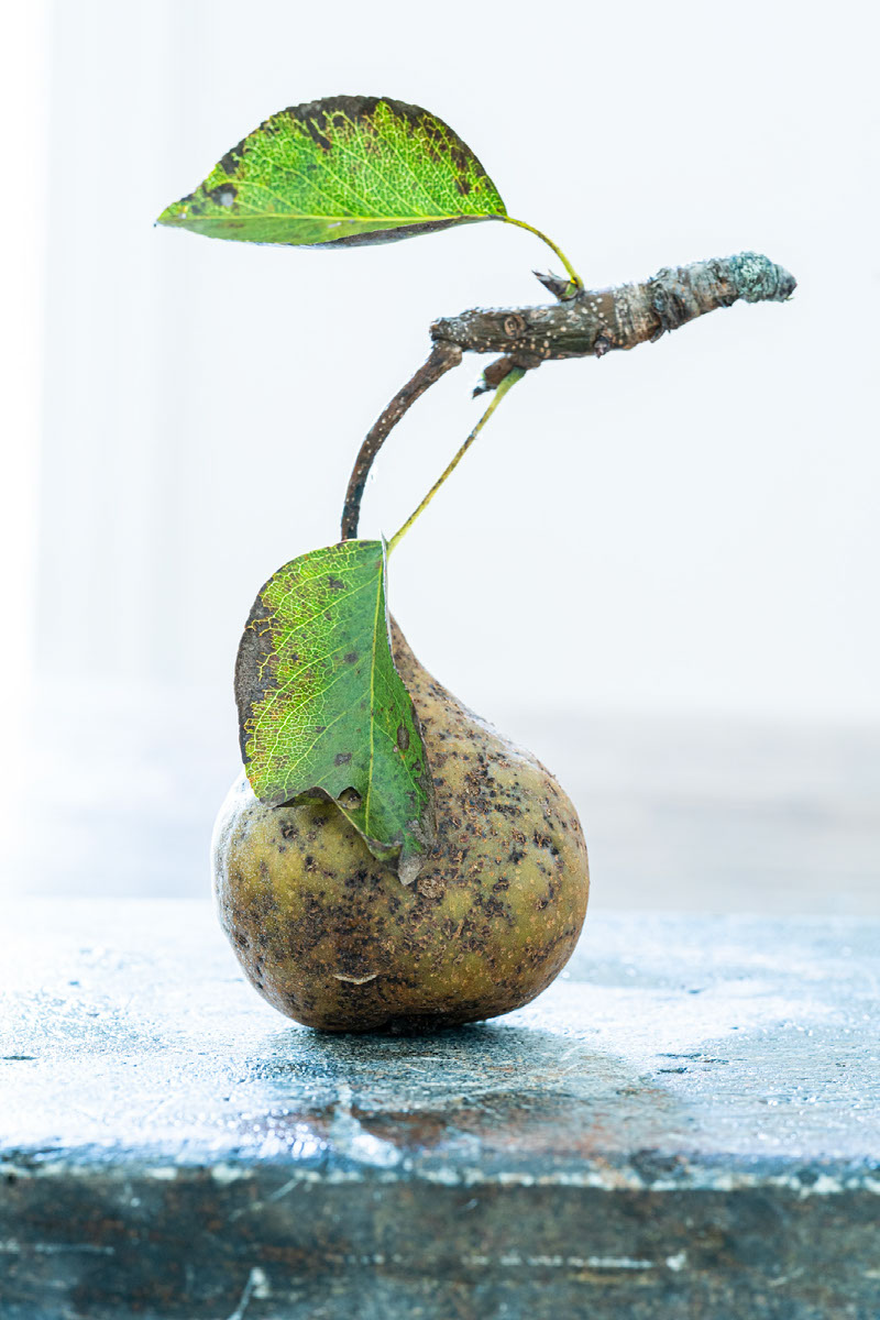 Pear in open shade | Edit | Photoshop Lightroom