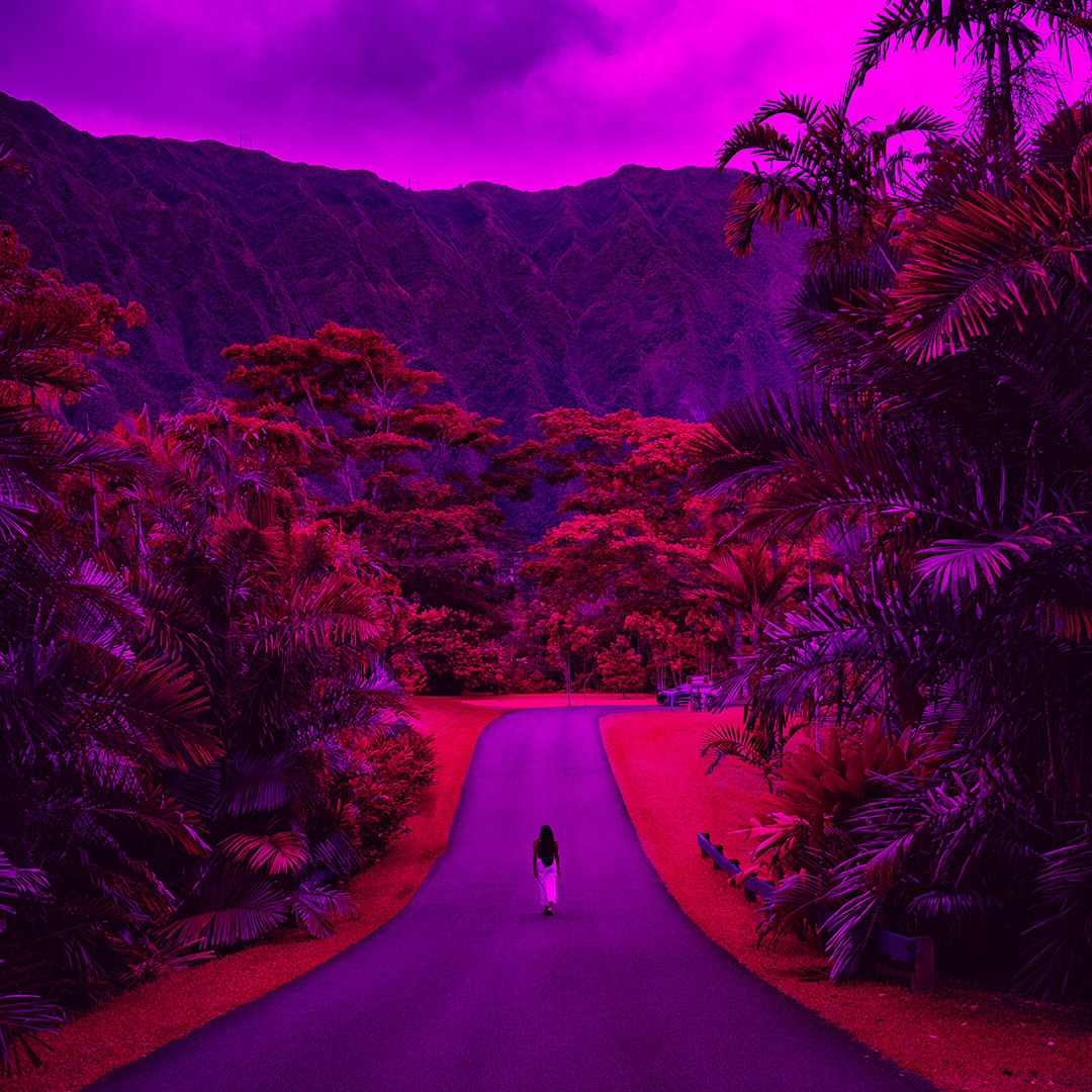 Change the color | Edit | Photoshop Lightroom