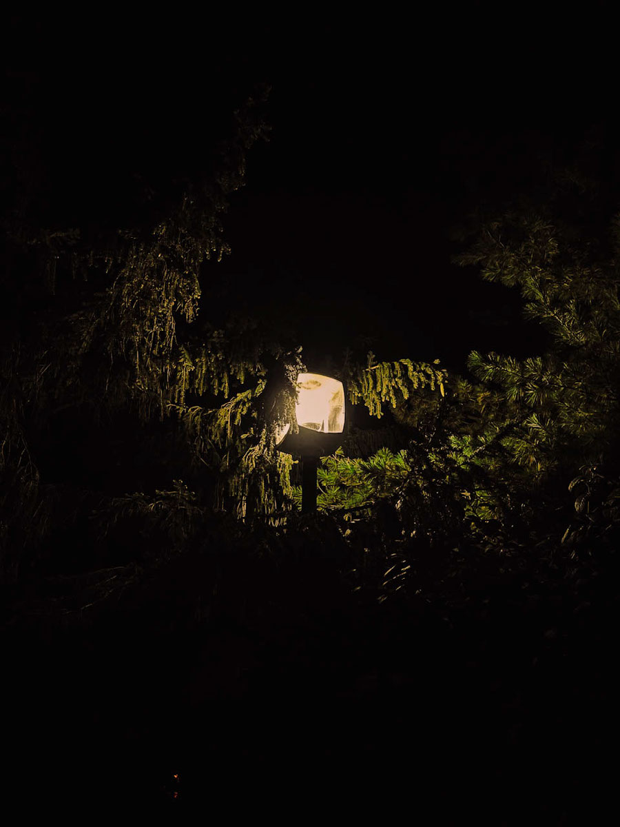 Lamp post in the Woods | Edit | Photoshop Lightroom