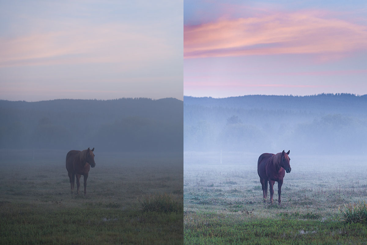 From Foggy to Fabulous with Linear Gradients | Tutorial | Photoshop ...