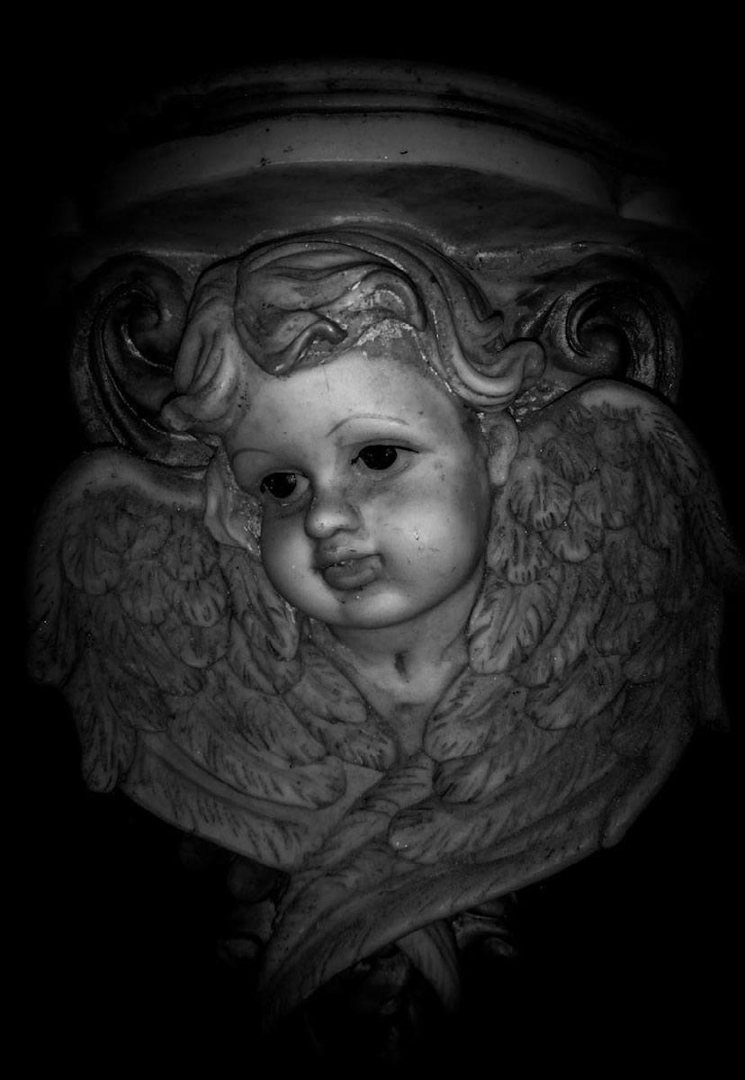 Baby Angel | Edit | Photoshop Lightroom
