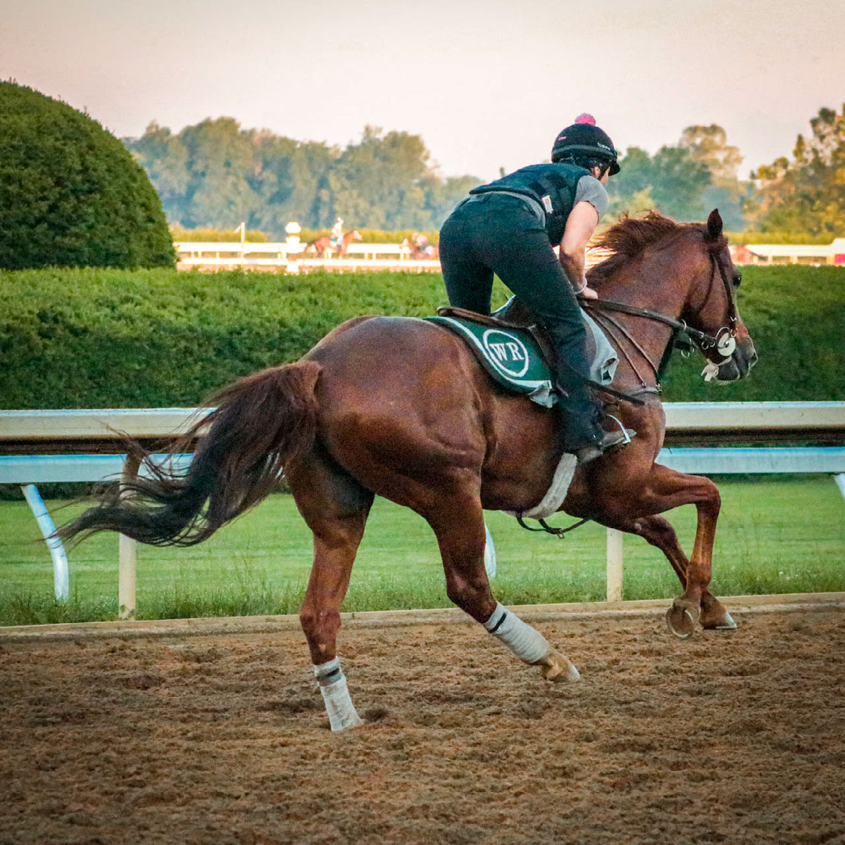 horse | Edit | Photoshop Lightroom