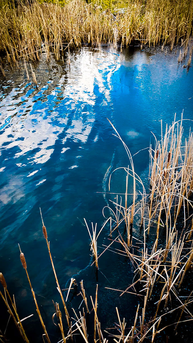 Half | Edit | Photoshop Lightroom
