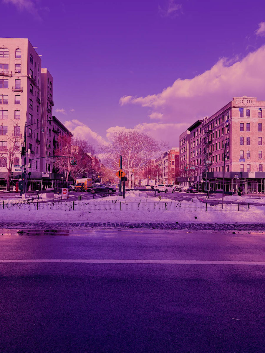 Purple | Edit | Photoshop Lightroom