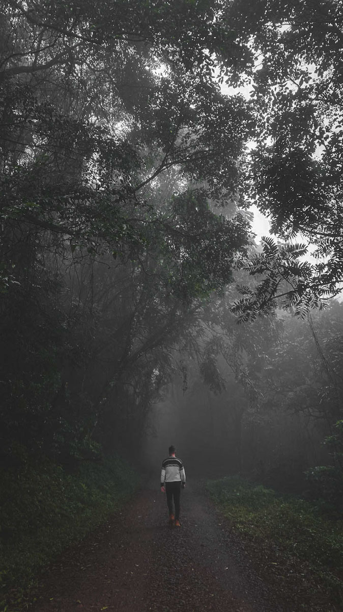 Walking fog | Edit | Photoshop Lightroom