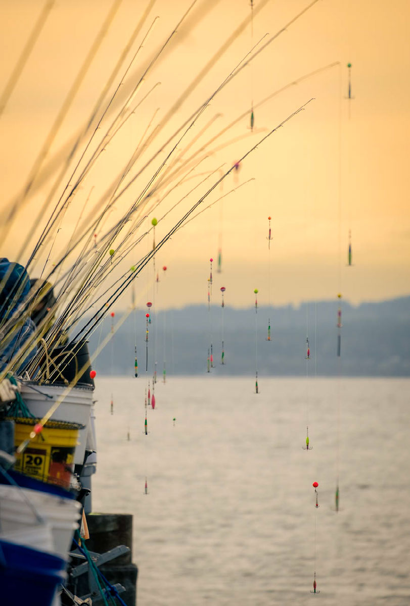 Squid lines at dusk | Edit | Photoshop Lightroom