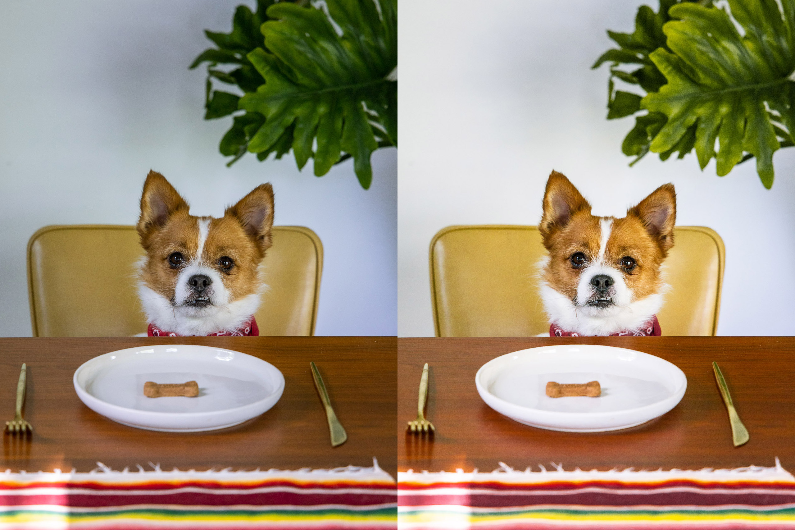 Correcting a Low-Light Interior Image | Tutorial | Adobe Lightroom