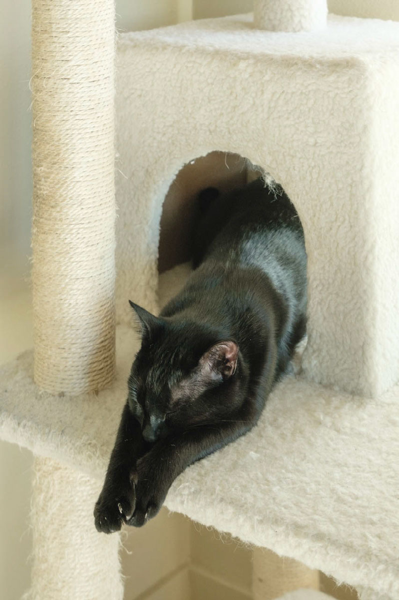 Mimi | Edit | Photoshop Lightroom