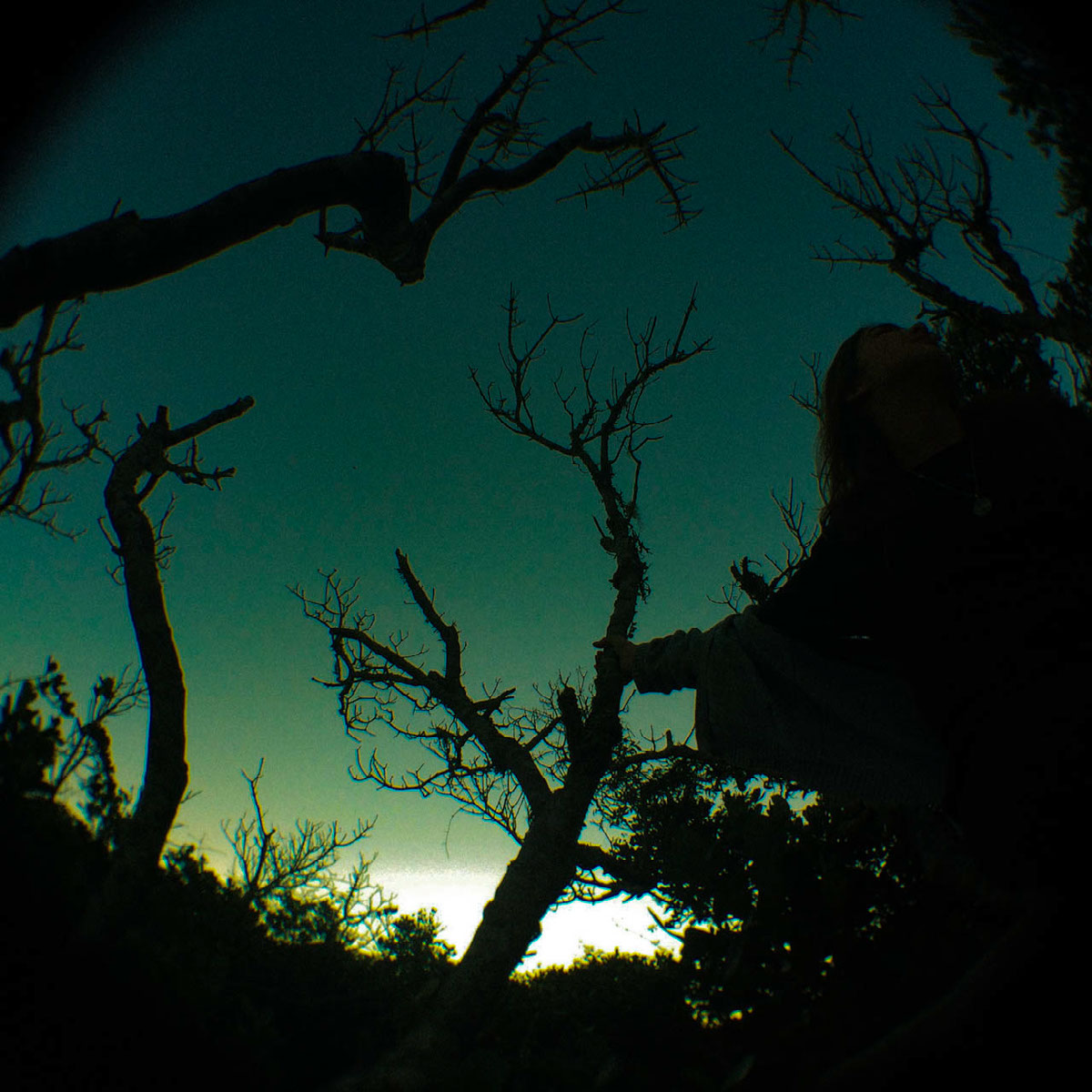 spot | Edit | Photoshop Lightroom