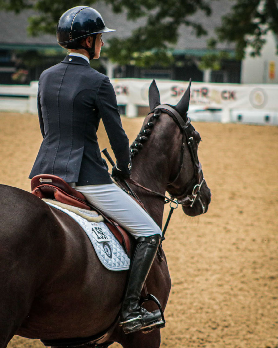 horse | Edit | Photoshop Lightroom