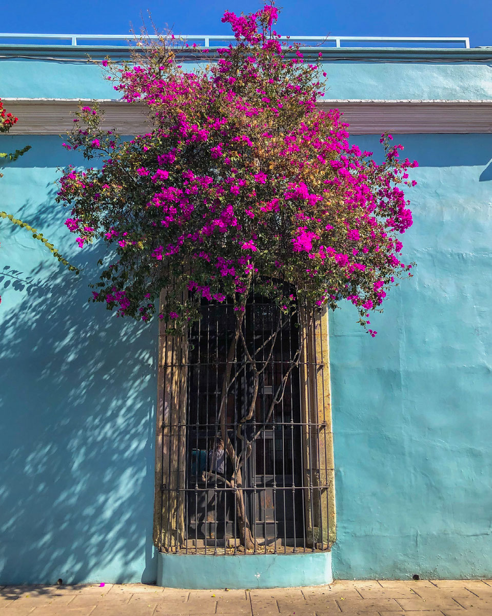 Correct small details that improve the colors of your photo. | Edit ...