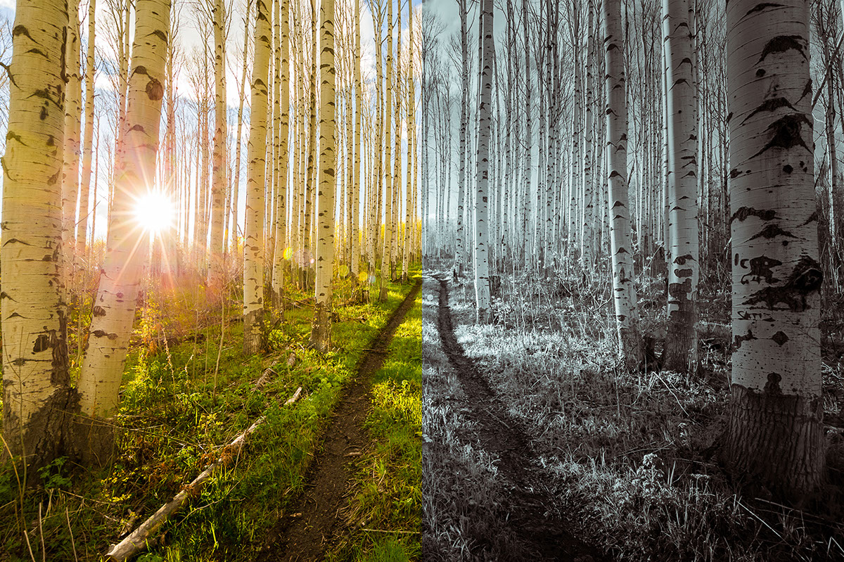 Shaping a Dramatic Landscape with Masking | Tutorial | Photoshop Lightroom