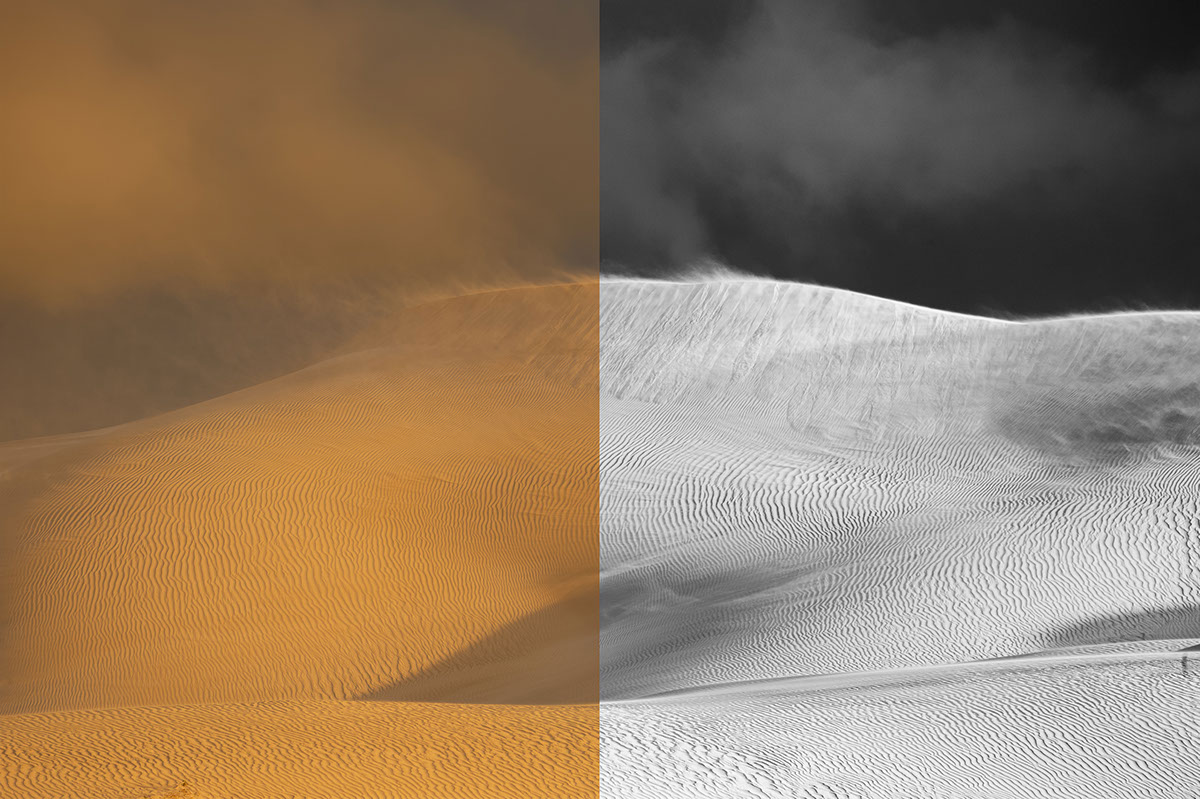 Create a High Contrast B&W Image | Tutorial | Adobe Lightroom