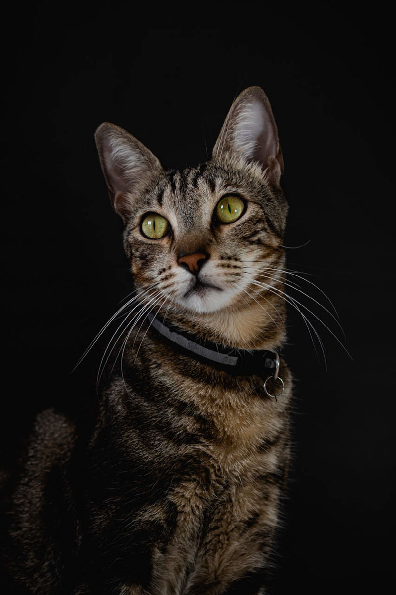 Sam | Edit | Photoshop Lightroom