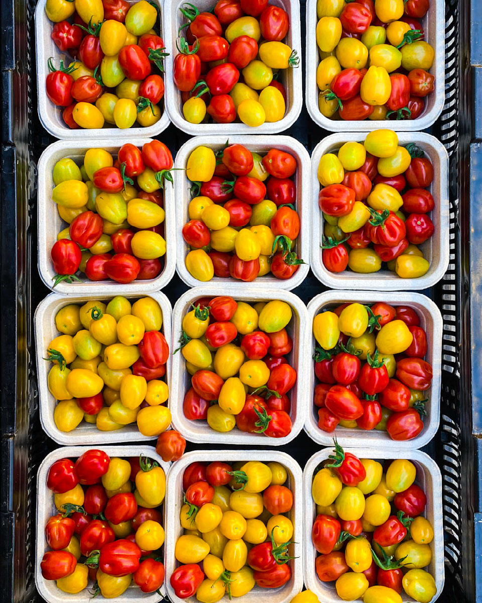 Tomate mix | Edit | Photoshop Lightroom