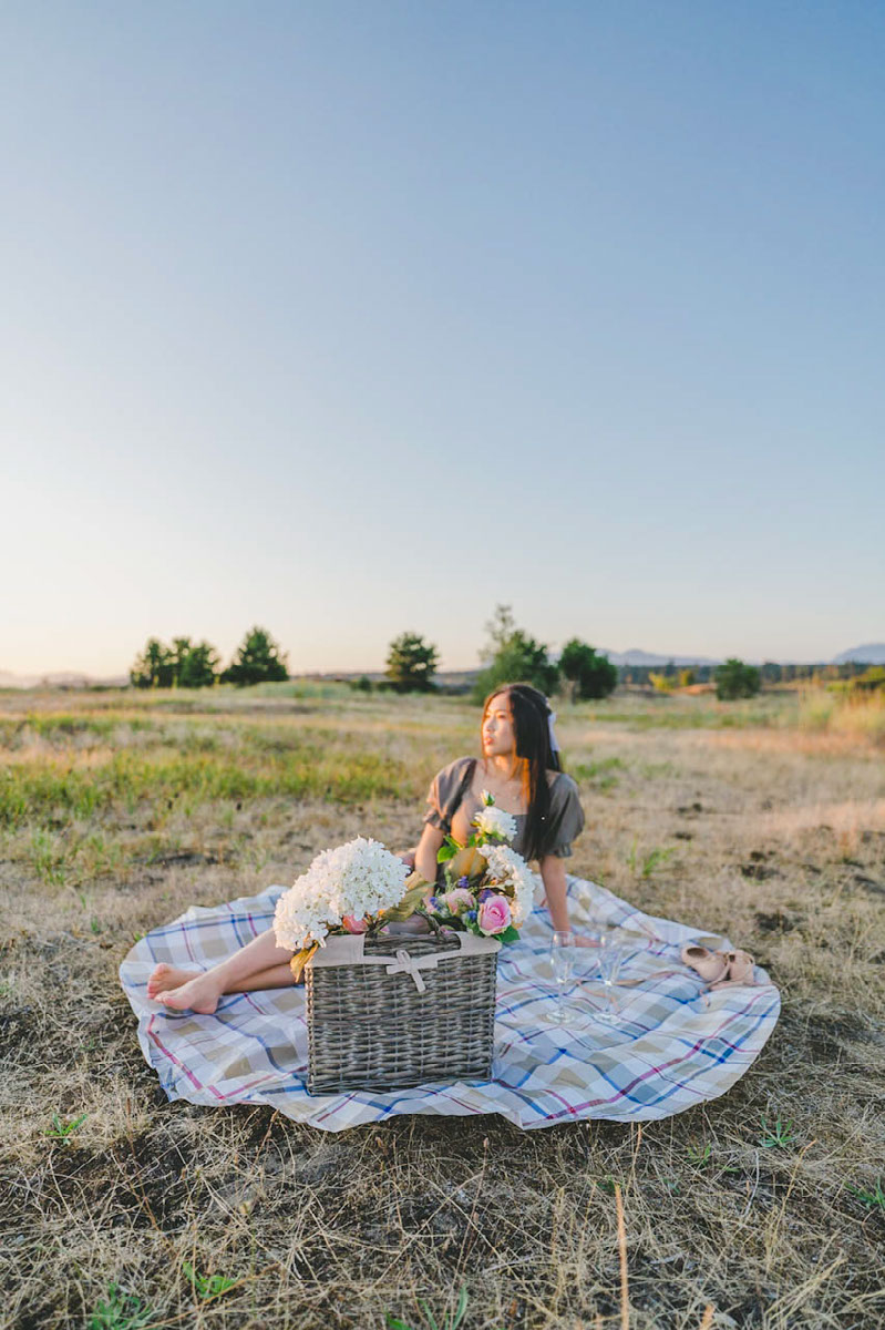 Suvi Picnic | Edit | Photoshop Lightroom