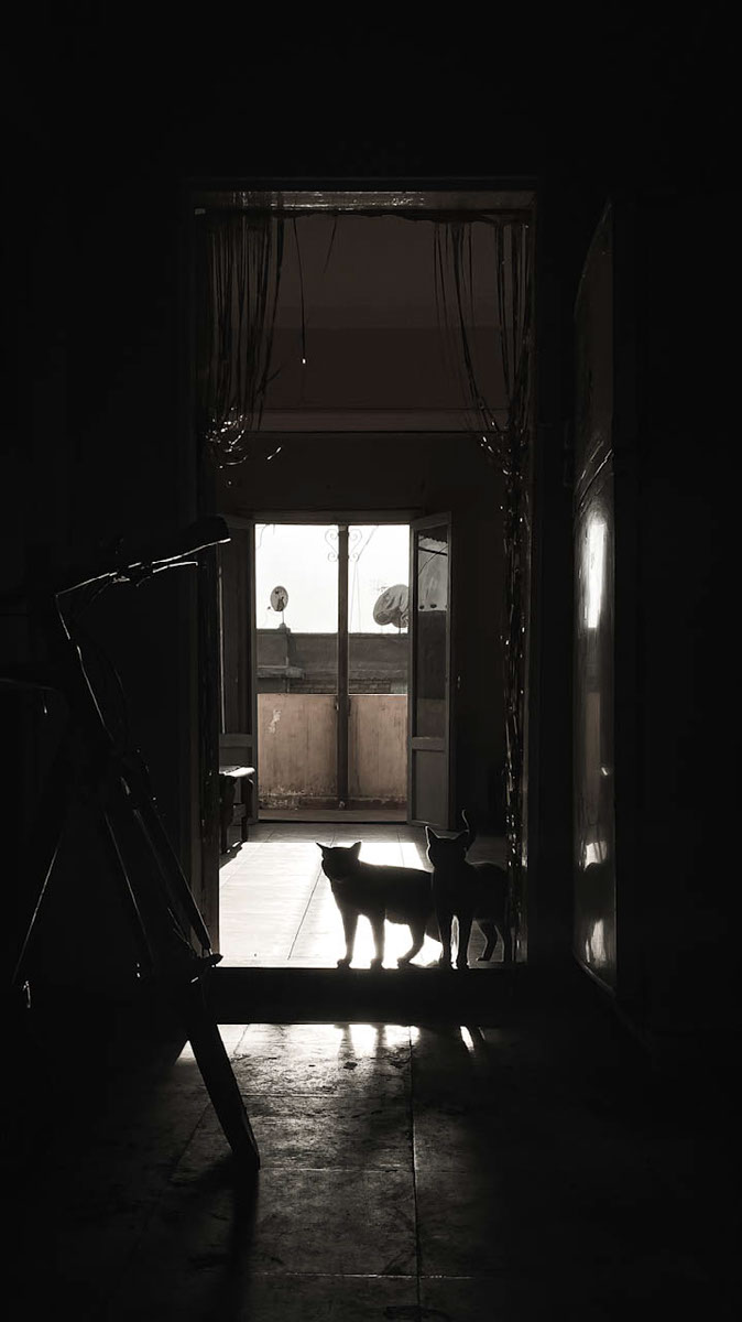 Grudgy | Edit | Photoshop Lightroom