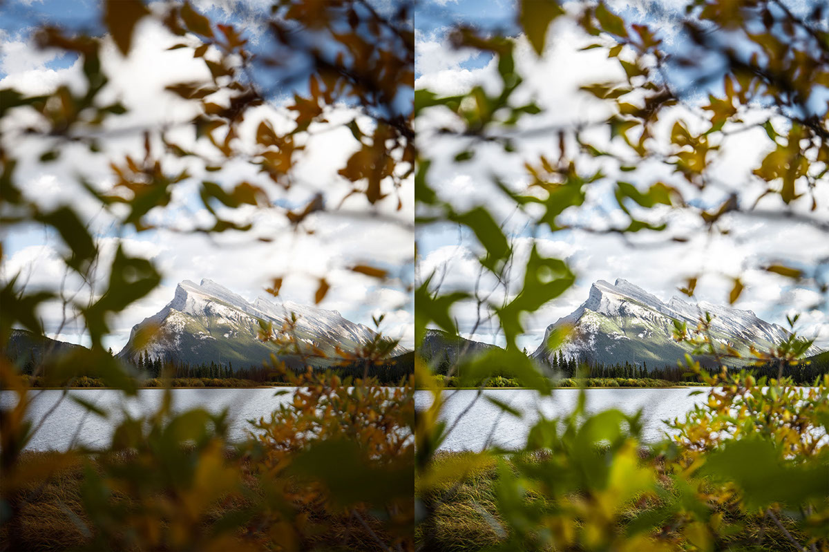 Color is King in Landscapes Photos | Tutorial | Photoshop Lightroom