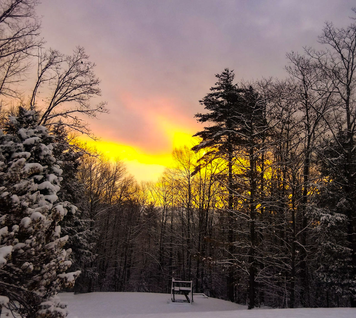 Glowing morning | Edit | Photoshop Lightroom