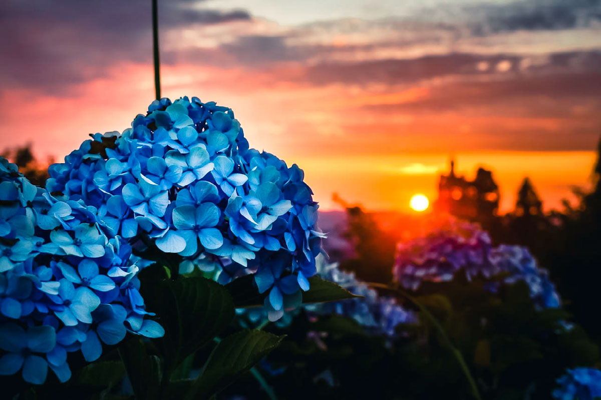 setting sun | Edit | Photoshop Lightroom