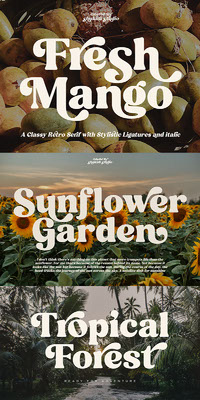 Fresh Mango - Retro Serif Font :: Behance