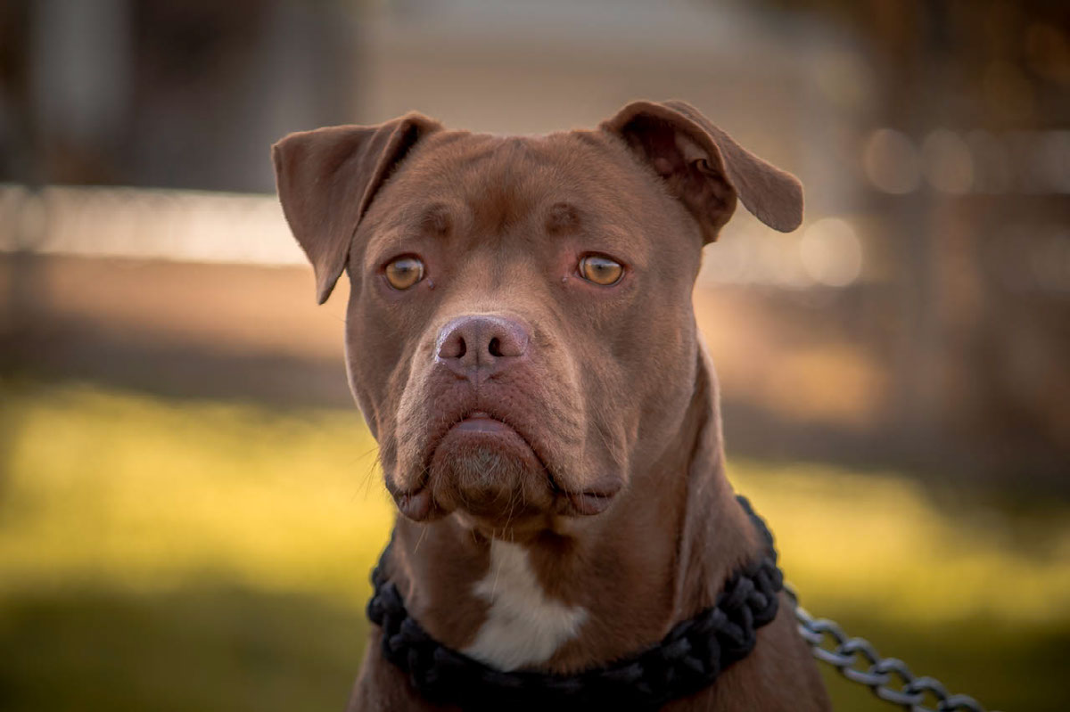 Pit | Edit | Photoshop Lightroom