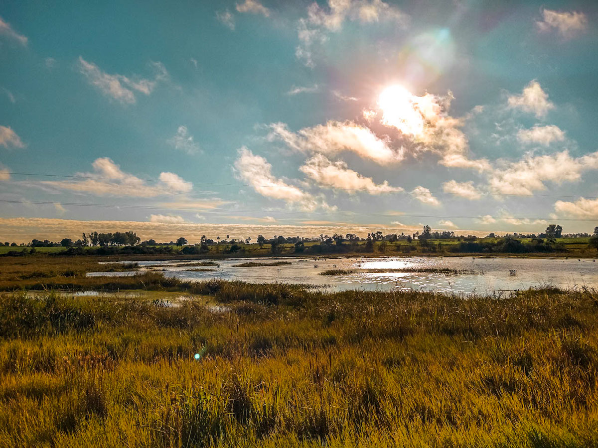 Sun | Edit | Photoshop Lightroom