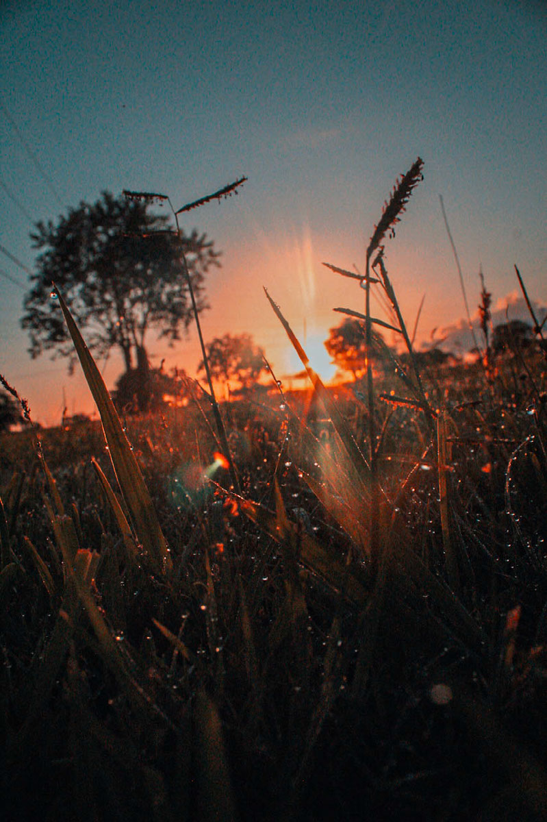 Blush Color | Edit | Photoshop Lightroom