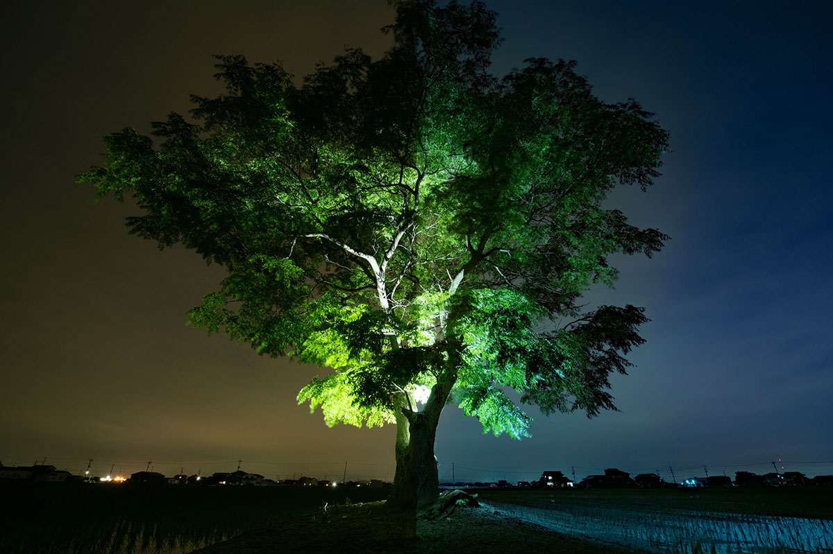 Adding Drama to the Night | Tutorial | Adobe Lightroom