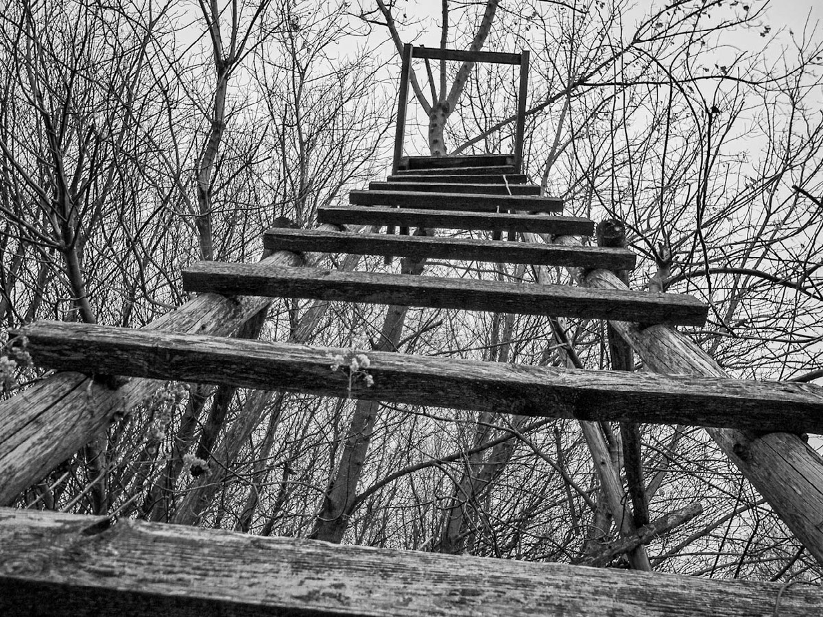 ladder | Edit | Photoshop Lightroom