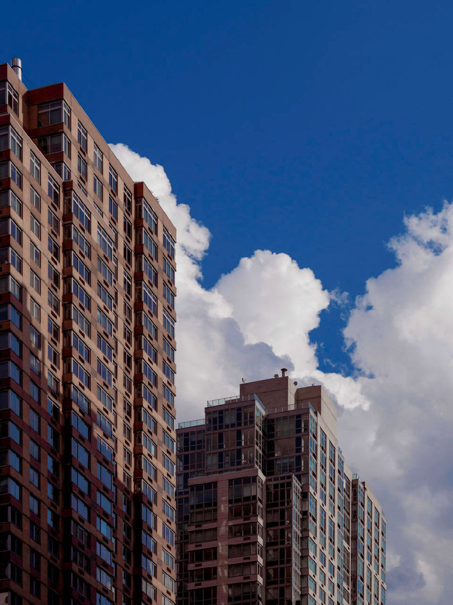 George of the Concrete jungle | Edit | Photoshop Lightroom