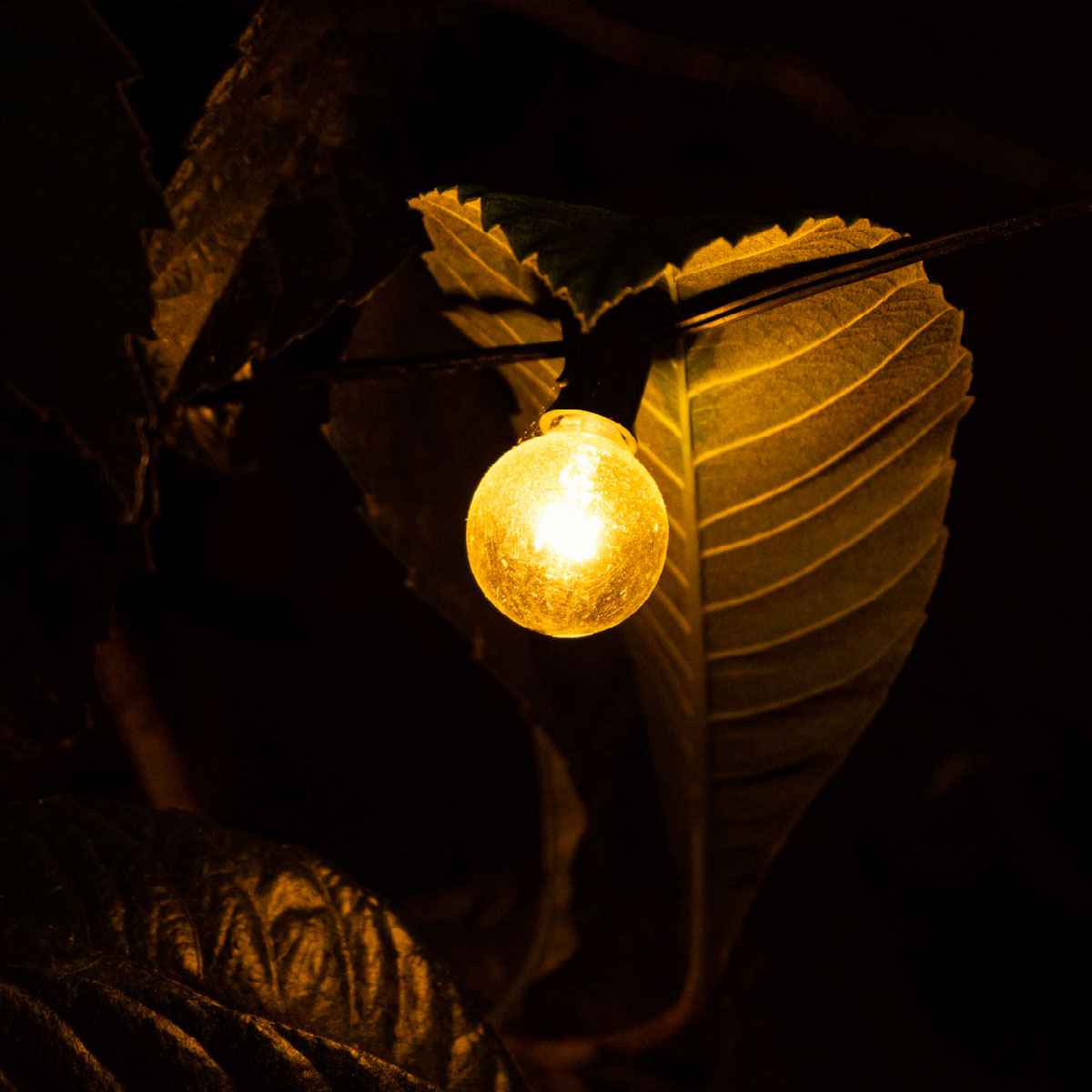 Man-made fireflies | Edit | Photoshop Lightroom
