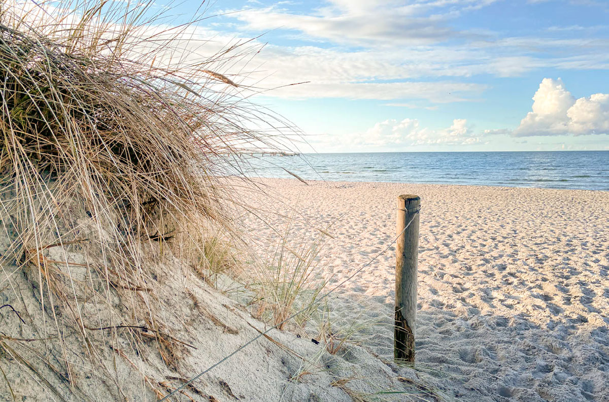 Beach view | Edit | Photoshop Lightroom