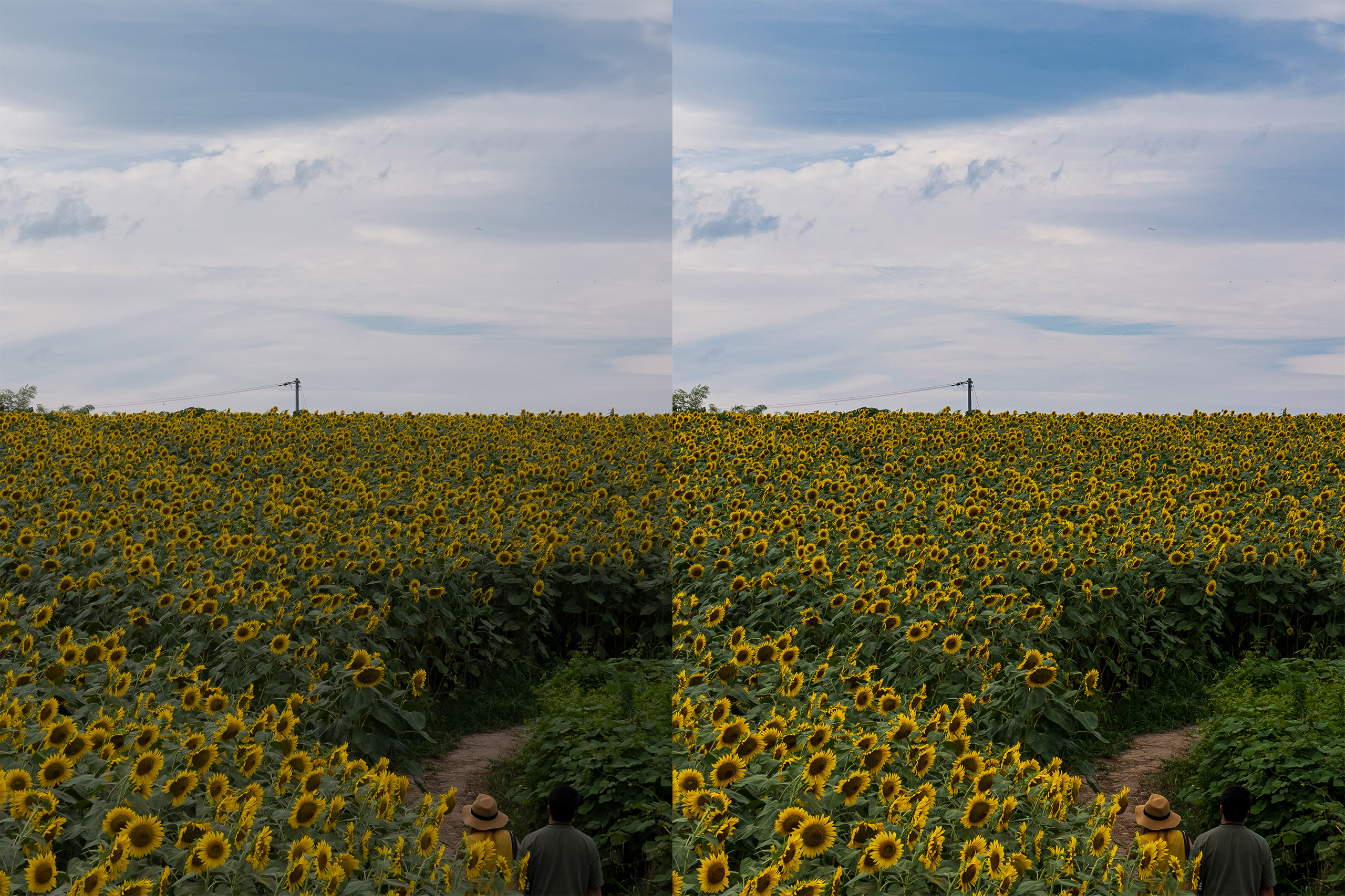 Make Summer Landscapes Sing | Tutorial | Adobe Lightroom