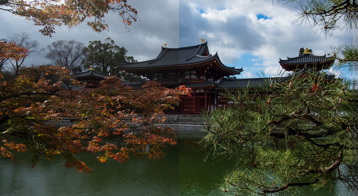 Enhance Specific Colors within a Landscape Photo | Tutorial | Adobe ...
