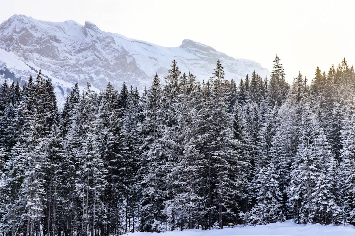 Mountain Views | Edit | Photoshop Lightroom